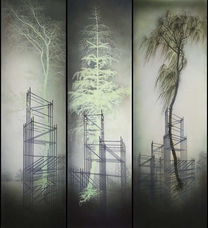 ARTIFICIAL SUPPORT SYSTEM IV, V, VI - Anthony Goicolea